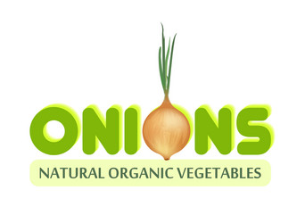 Onion with green feathers cartoon isolated Vector Image
