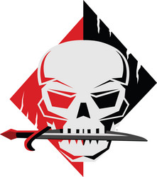 Pirate logo Royalty Free Vector Image - VectorStock