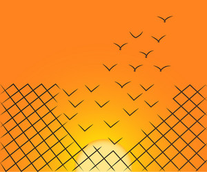 Released to sunset Royalty Free Vector Image - VectorStock