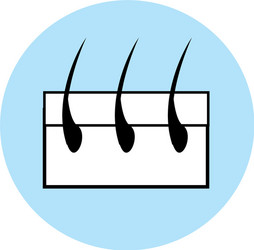 Capillary Hair Vector Images (30)