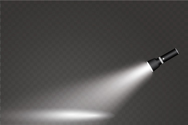 Flashlight on a transparent background shine Vector Image