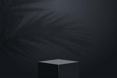 3d realistic dark platform with white empty Vector Image