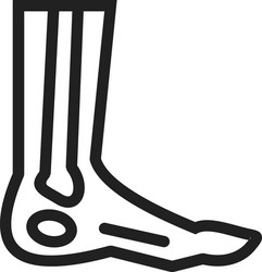 Skeleton foot color stroke Royalty Free Vector Image