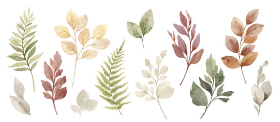 Watercolor border of fall twigs and flowers Vector Image
