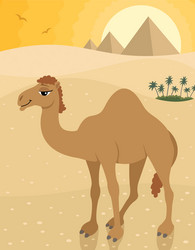 Camel Vector Images (over 18,000)