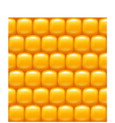 Pattern of corn kernels Royalty Free Vector Image