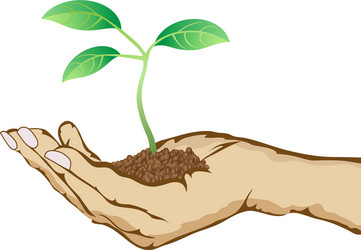 Plant in hand Royalty Free Vector Image - VectorStock