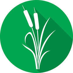 Reeds silhouette design reflecting over the lake Vector Image