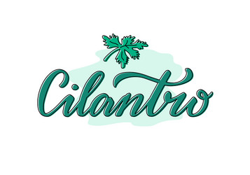 Cilantro Logo Vector Images (over 220)