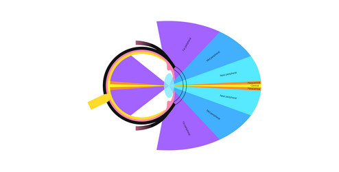 Peripheral vision poster Royalty Free Vector Image