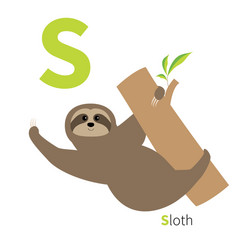 Letter s sloth on tree zoo alphabet english abc Vector Image