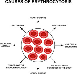 Causes increased red blood cells Royalty Free Vector Image