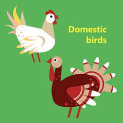 Turkey Flashcard Vector Images (38)