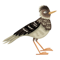 Lark Vector Images (over 210)