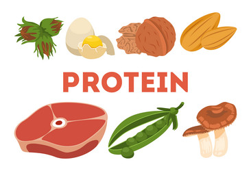 High Protein Vector Images (over 980)