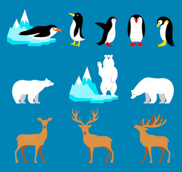 Arctic landscape with different polar animals Vector Image