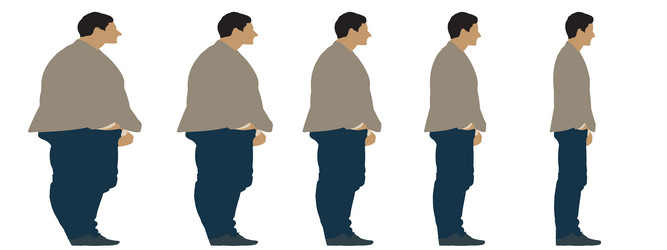 Conceptual fat overweight obese man vs slim fit Vector Image