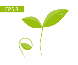 Phases green plant growing Royalty Free Vector Image