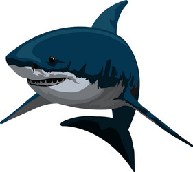 Shark Gills Vector Images (over 160)