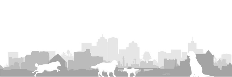 Dog cityscape background Royalty Free Vector Image