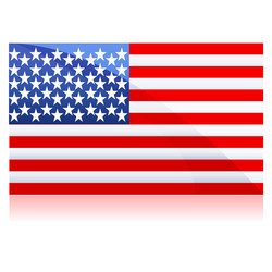 United states of america flag Royalty Free Vector Image