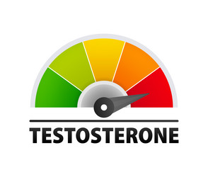 Testosterone level metering scale tracking Vector Image