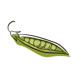 Peas Line Drawing Vector Images (over 830)