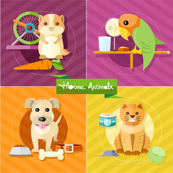 Home pets set cat dog parrot goldfish hamster Vector Image