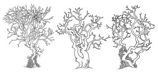 Twisted Tree Vector Images (over 1,800)