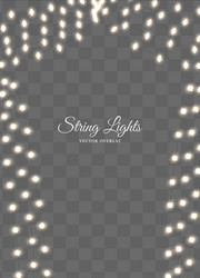 Twinkling fairy string lights overlay dark Vector Image