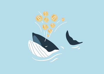 Whale eating bitcoin whales Royalty Free Vector Image