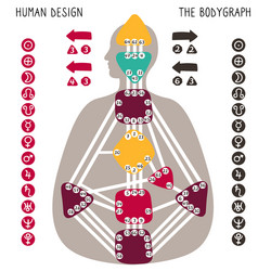 Reflector human design bodygraph nine colored Vector Image