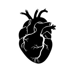 Real Heart Outline Png