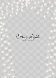 Twinkling fairy string lights overlay light Vector Image