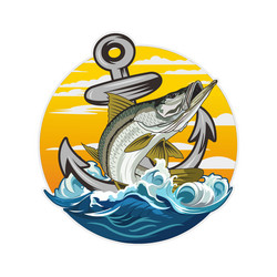 Snook Fish Vector Images (42)