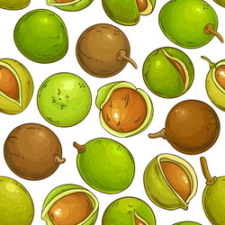 Mongongo nuts pattern on white background Vector Image