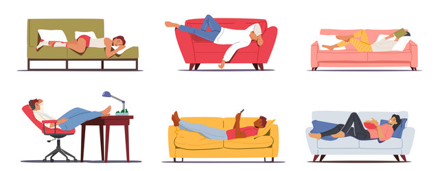Sloth cartoon relaxing in couch high quality Vector Image