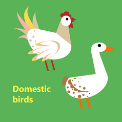 Goose Flashcard Vector Images (33)