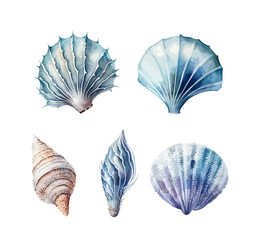 Blue Seashell Clipart