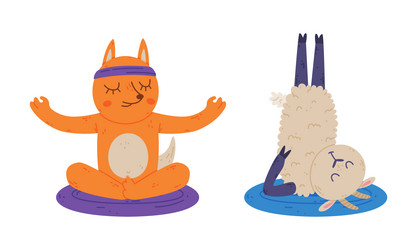 Cute little fox sitting in lotus yoga pose Vector Image