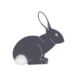 Rabbit Tail Vector Images (over 2,300)