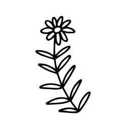 Cute doodle flower Royalty Free Vector Image - VectorStock