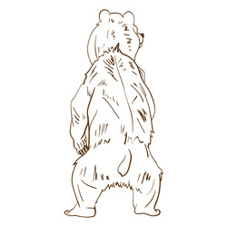 Standing bear rear view cartoon Royalty Free Vector Image