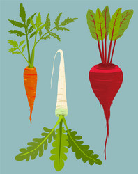 Root vegetables with greens signs and symbols Vector Image