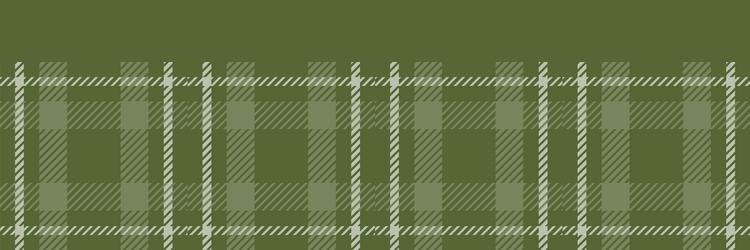Military green check plaid border seamless Vector Image