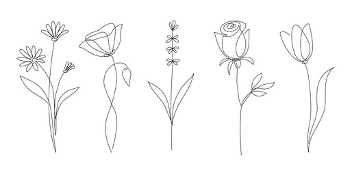 Flower set continuous outline style decoration Vector Image