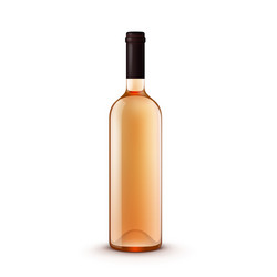 Wine bottles Royalty Free Vector Image - VectorStock