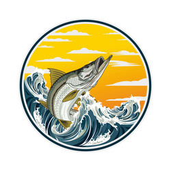 Snook Fish Vector Images (42)