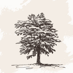 Alpine landscape sketch mountain cabin pine tree Vector Image