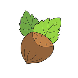 Hazelnut Cartoon Vector Images (over 2,400)